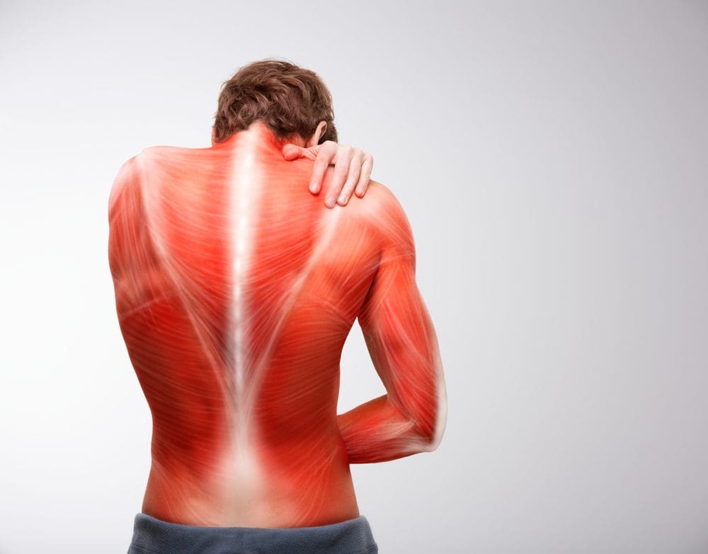 Muscle Inflammation Relieved By The MET Technique - El Paso, TX ...
